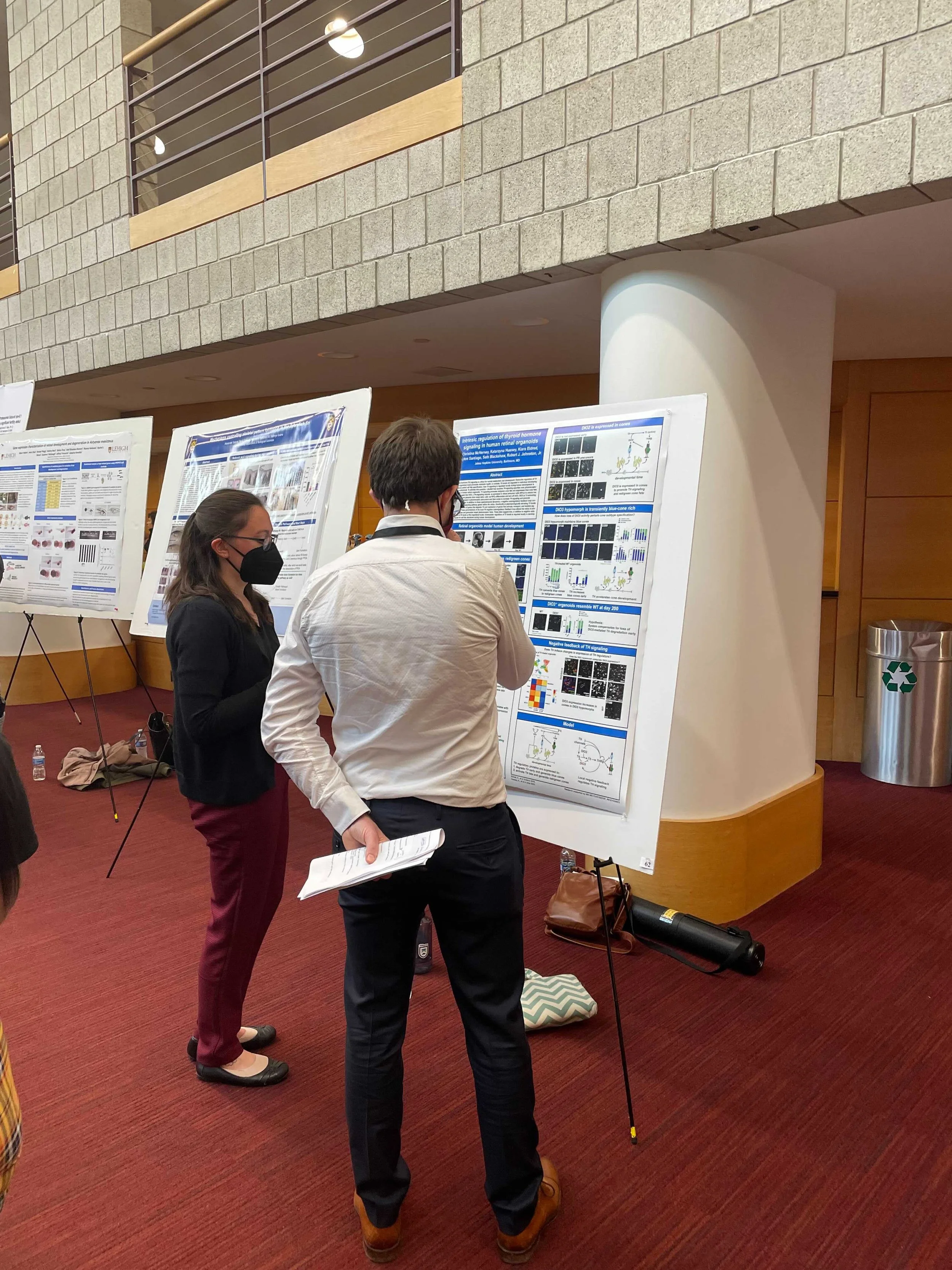 Gallery — Johnston Lab