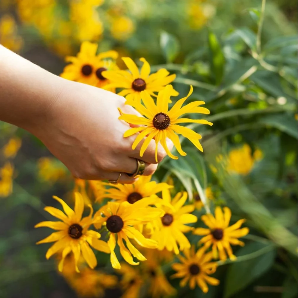 What Is Secondary Loss in Grief? Examples and How to Process Them ...