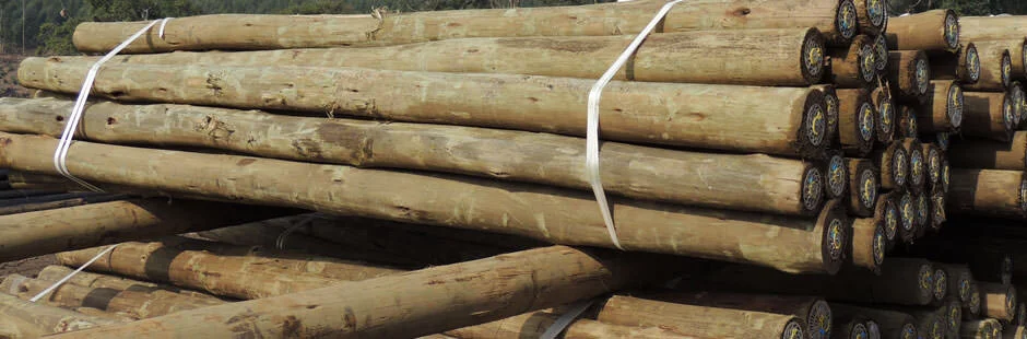 ACT-Approved Treated Wooden Poles - Treated Poles