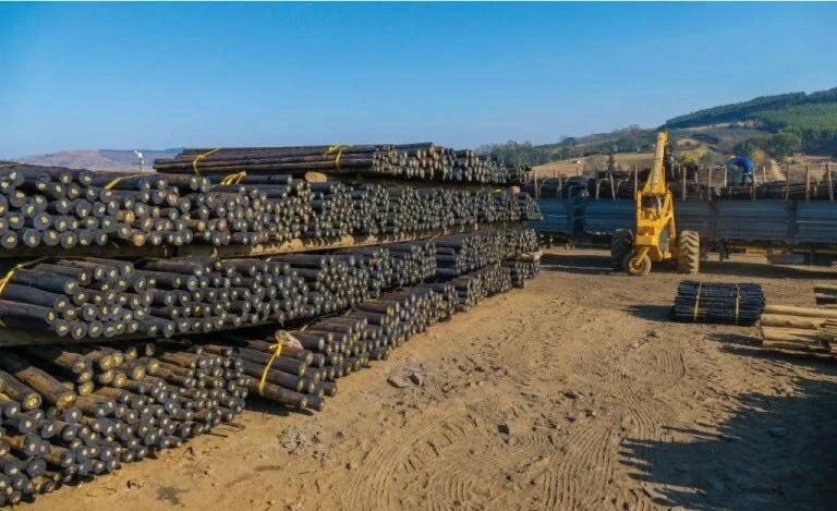 Building Poles for Construction and Farming - Treated Poles