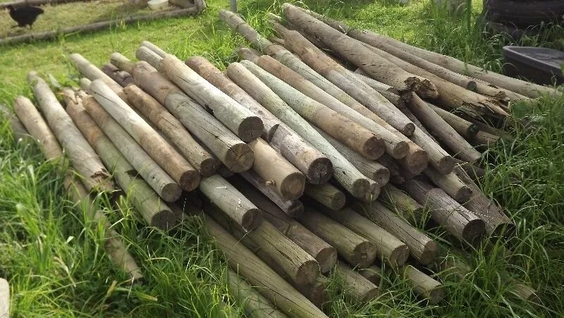 A LITTLE TREATMENT GOES A LONG WAY: TREATED POLES - Treated Poles