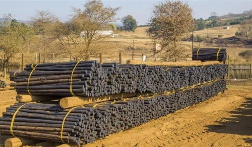 ACT-Approved Treated Wooden Poles - Treated Poles
