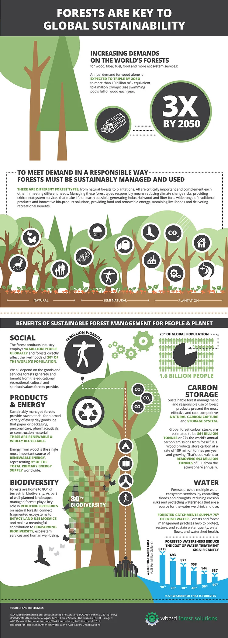 THE IMPORTANCE OF ALL FORESTS - INFOGRAPHIC - Treated Poles