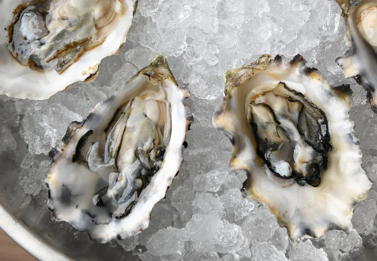 Market — Hill's Quality Seafood Markets