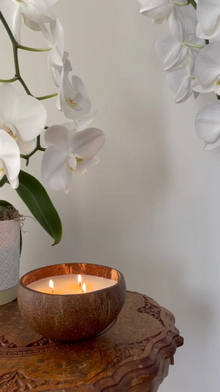 Bibol USA: 100% Natural & Food Safe Bamboo Bowls