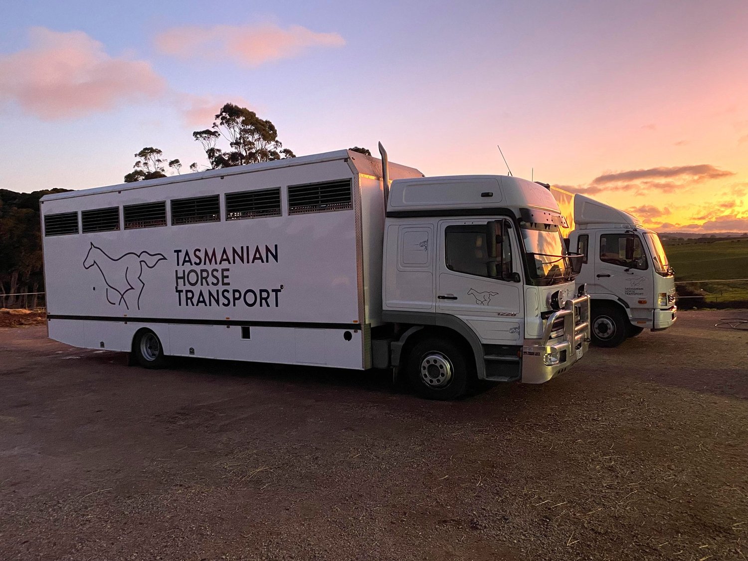 Our Transport — Tasmanian Horse Transport