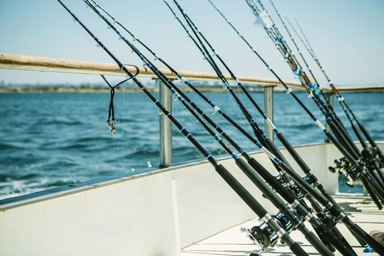 General 2 — Finz and Featherz