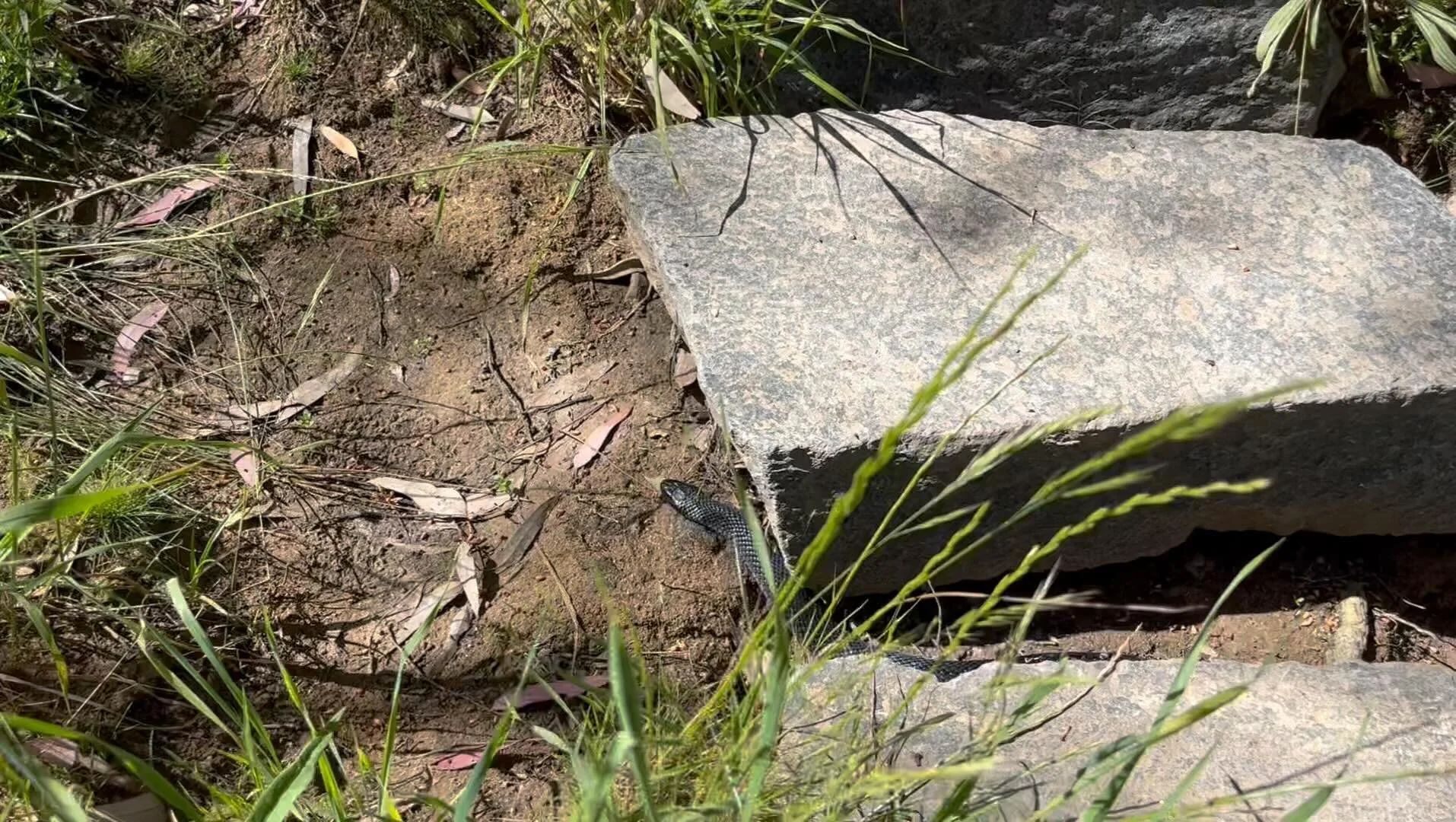 Ginninderry Conservation Trust