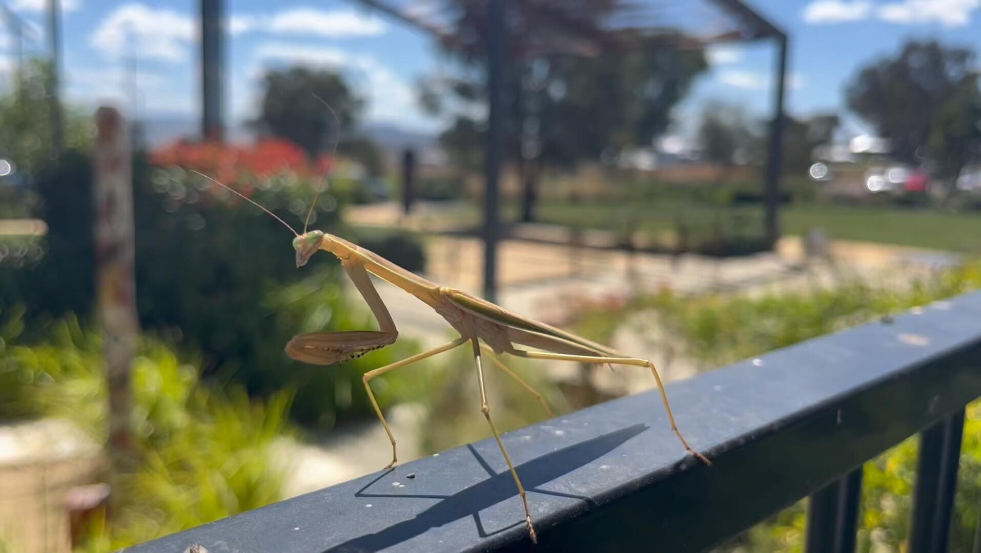 Ginninderry Conservation Trust