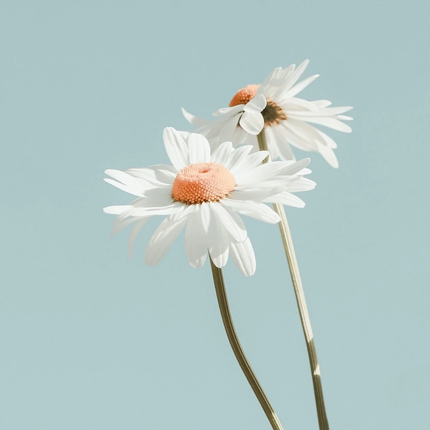 Team — Colspec Construction Ltd