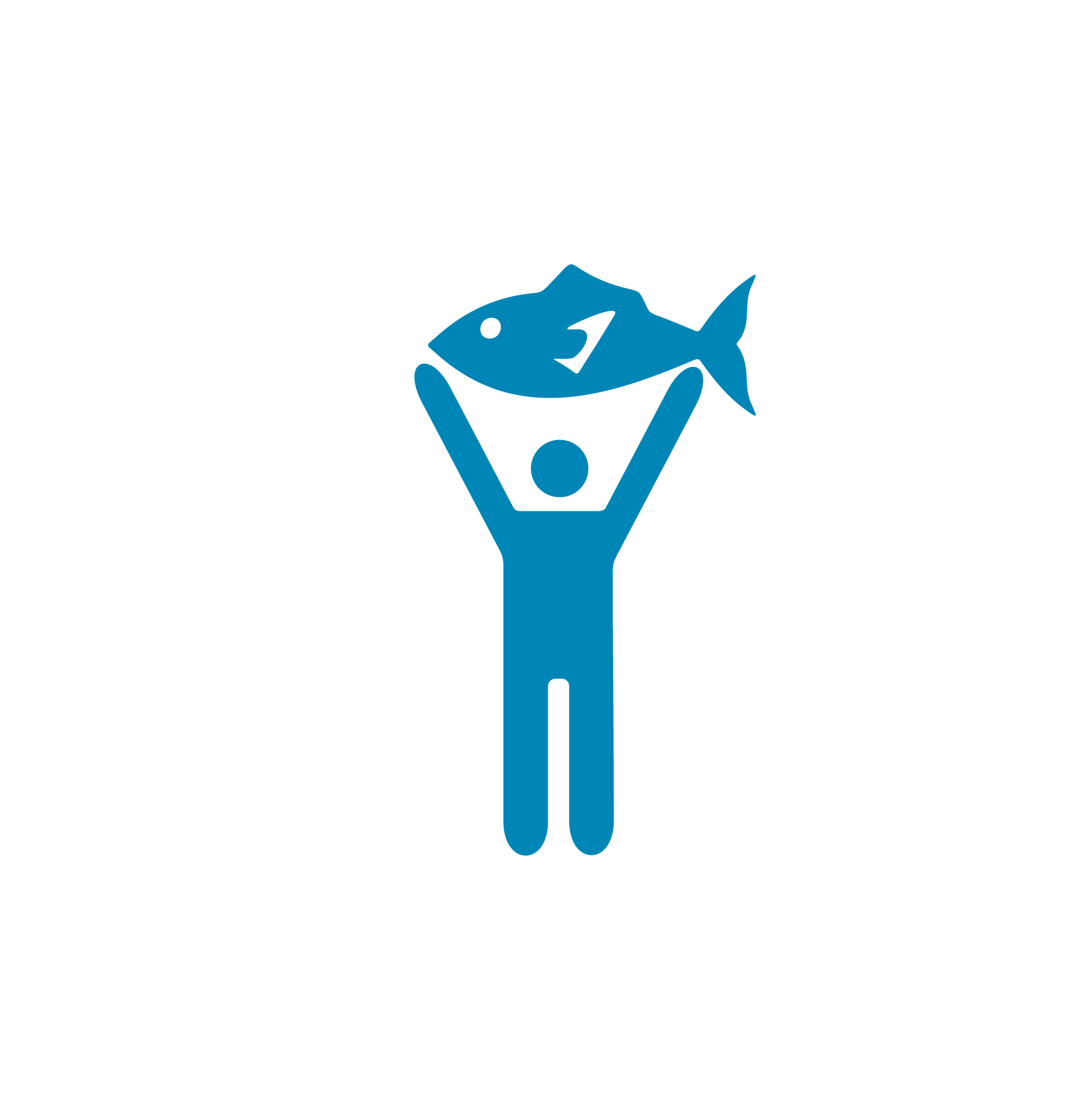 Catch | Flathead | Snapper | Gummy Sharks — Apollo Bay Fishing Charters