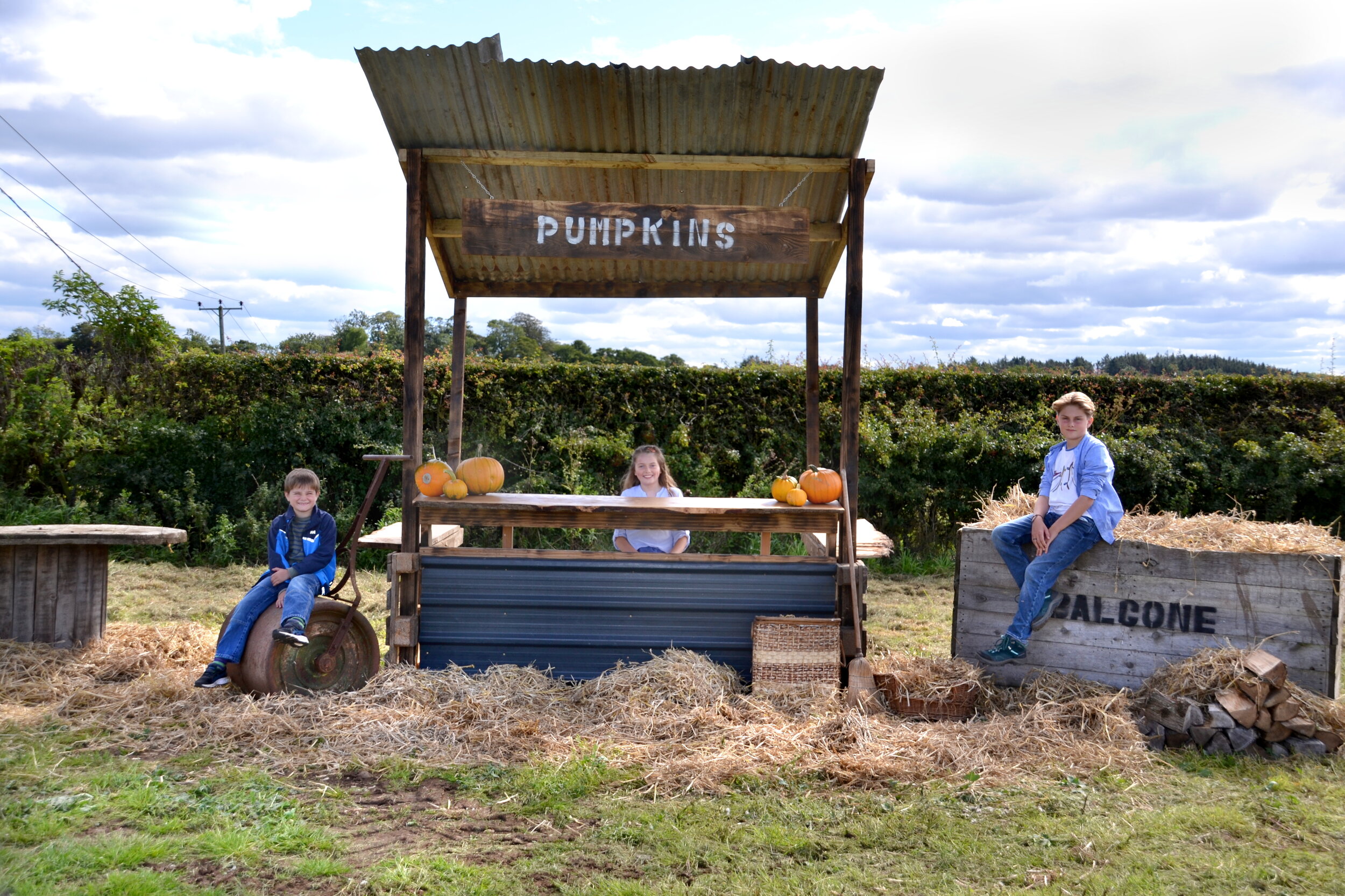Balgone Estate - Balgone Estate PYO Pumpkins