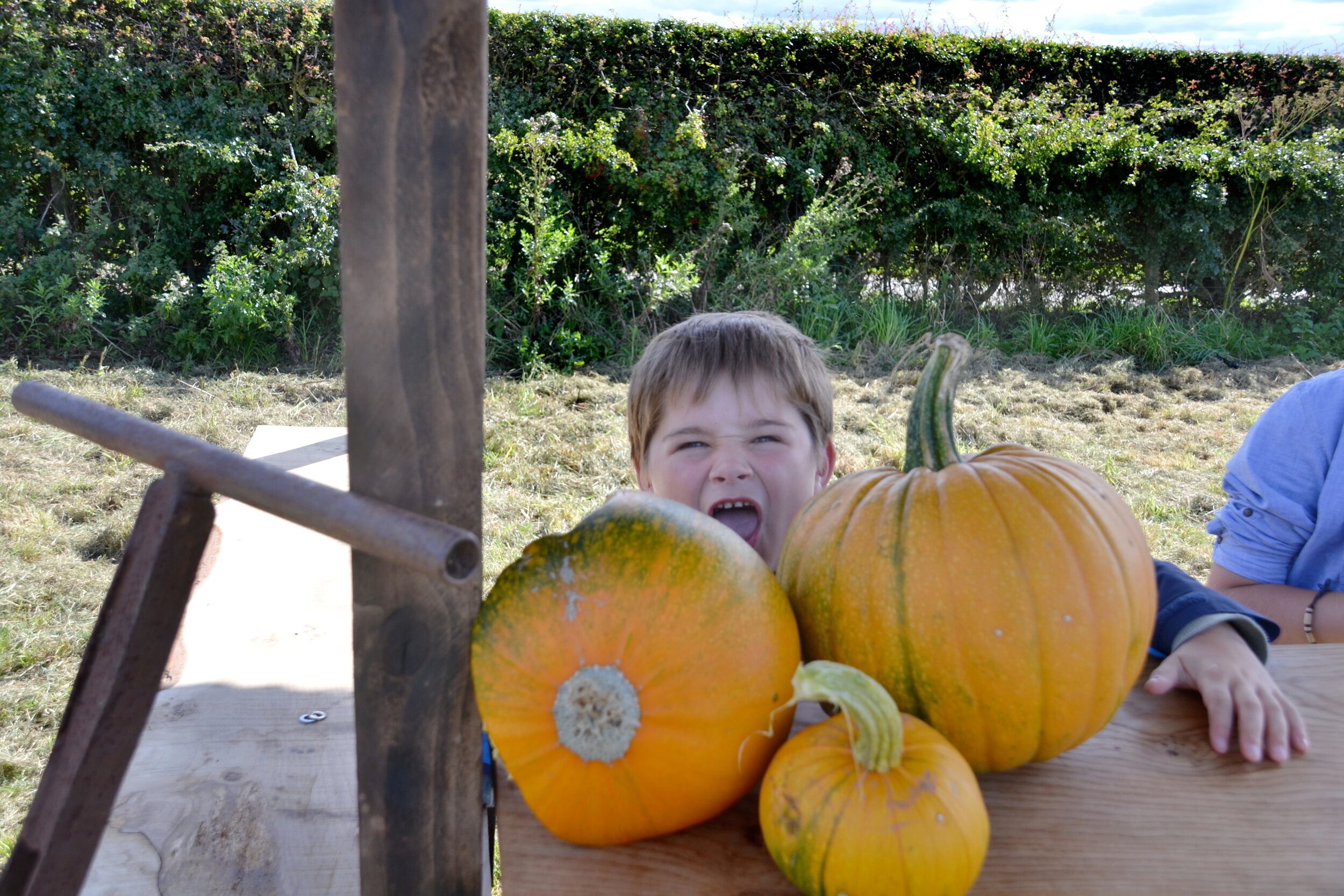 Balgone Estate - Balgone Estate PYO Pumpkins