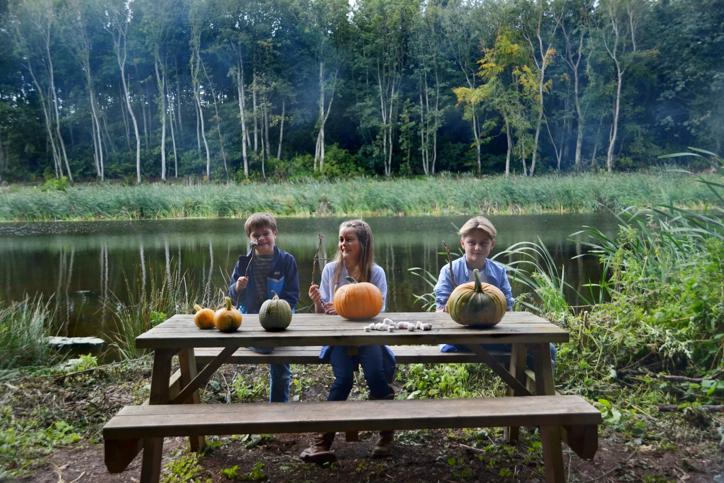 Balgone Estate - Balgone Estate PYO Pumpkins