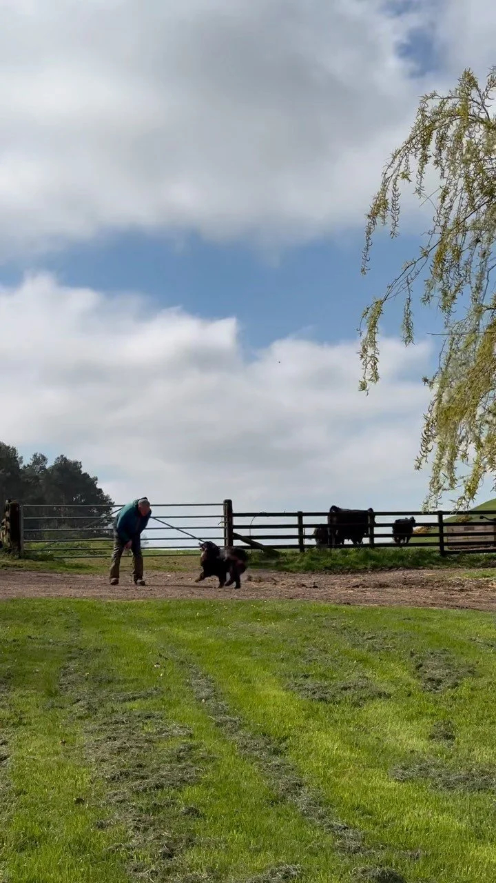 Balgone Estate - Balgone Estate