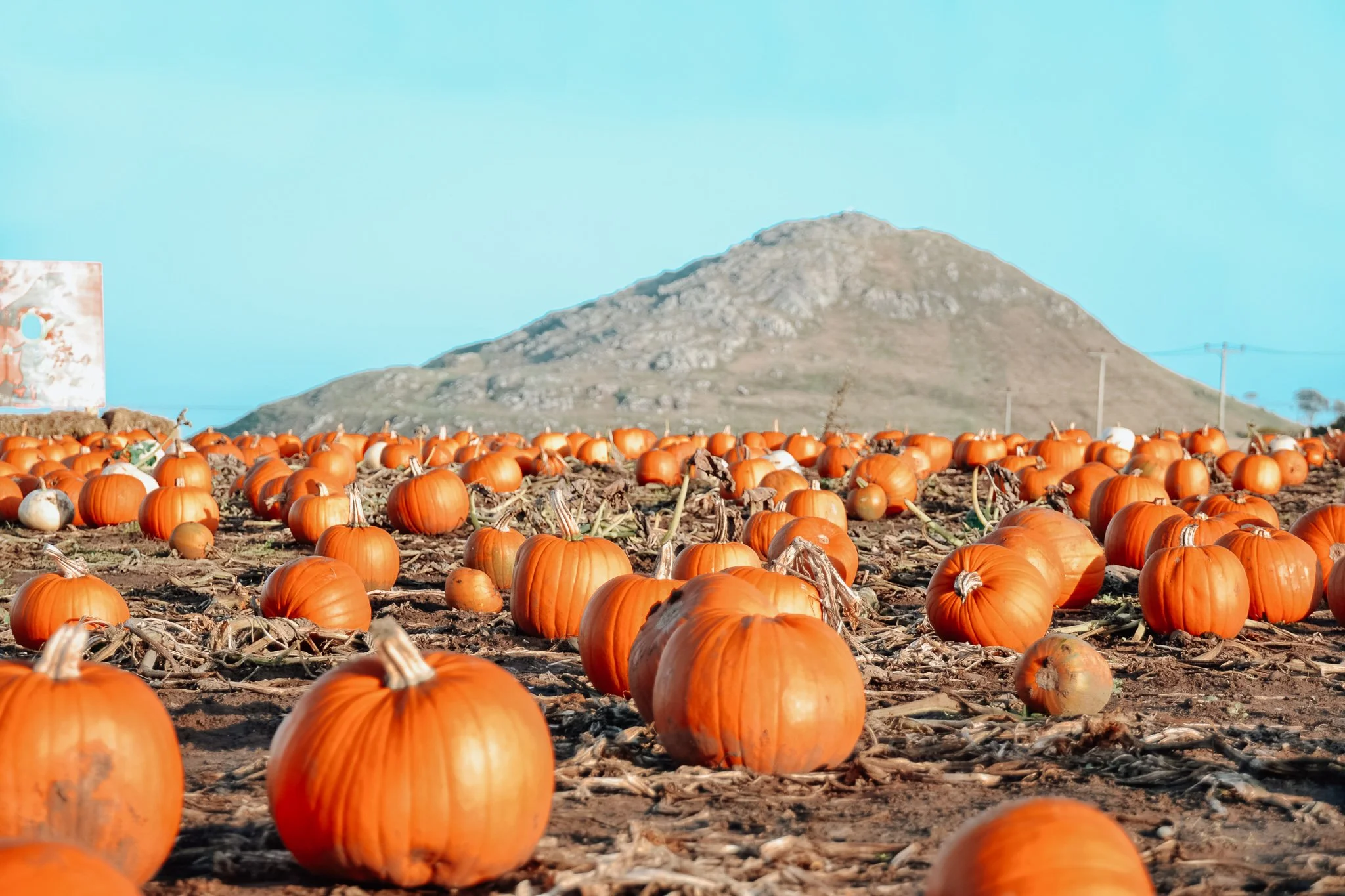 Balgone Estate - Balgone Estate