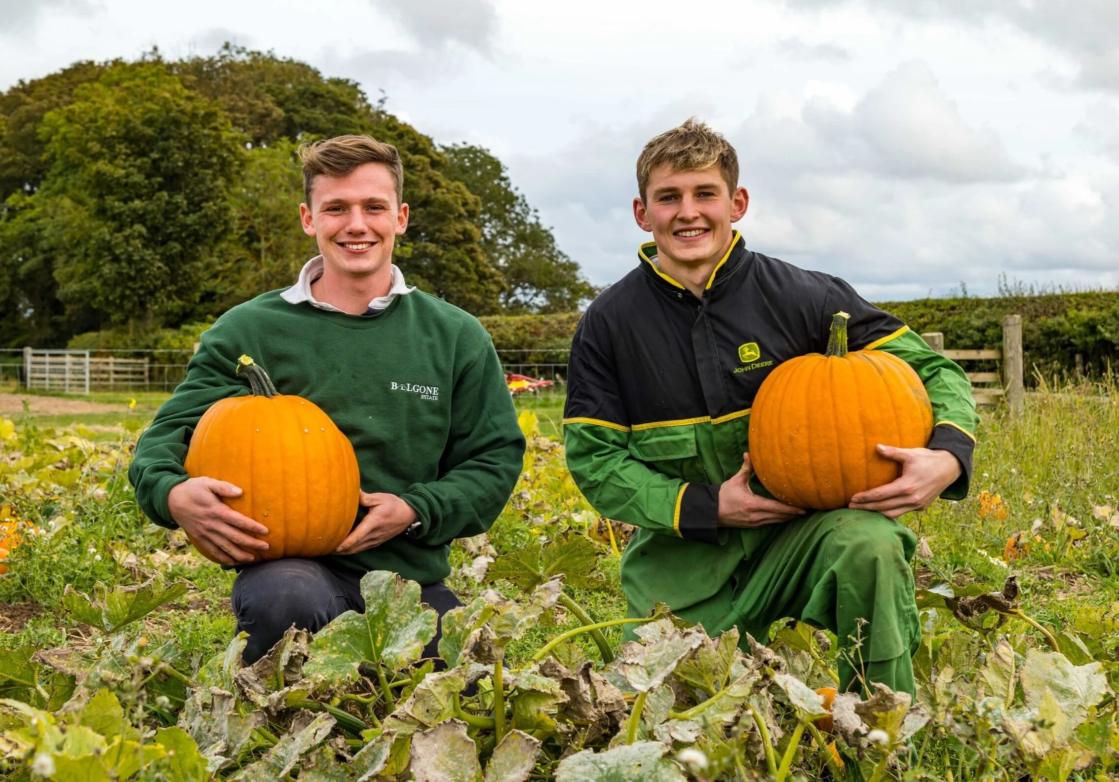 Balgone Estate - Balgone Estate PYO Pumpkins