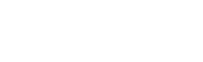 NOSOLO | Nobody Goes Solo | Official Site