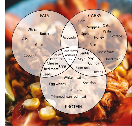 Fundamentals of nutrition for sport — Midtown Wellness