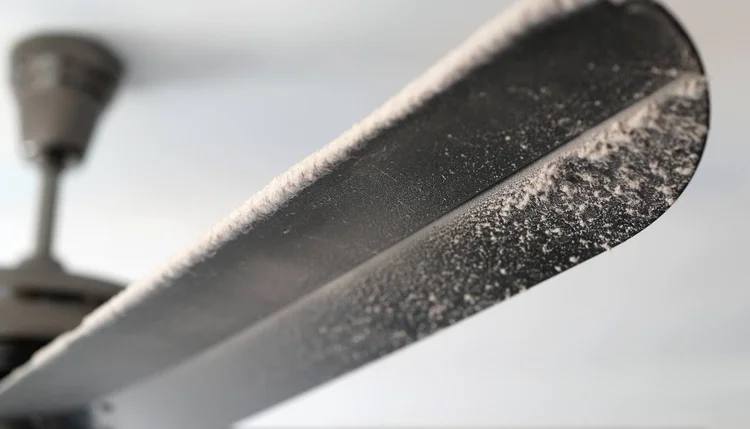 How To Clean Ceiling Fans: 5 Simple Steps — Tidy Up Portland!