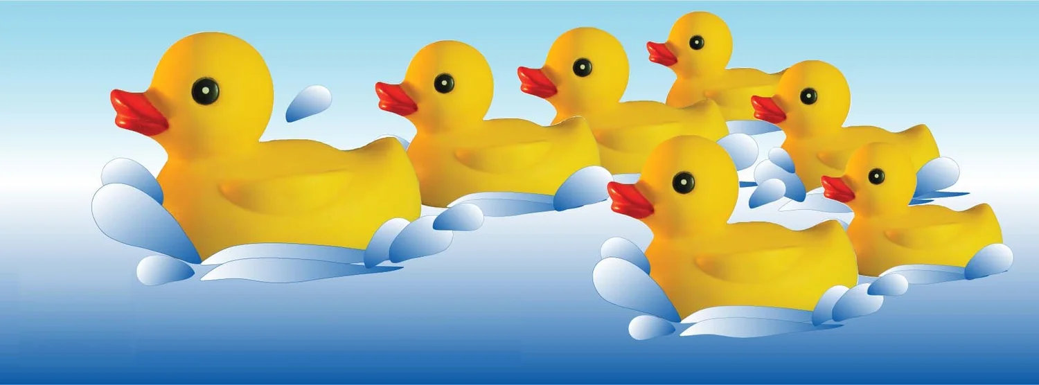 Rotary Duck Race on the CharlesNeponset Valley Sunrise Rotary