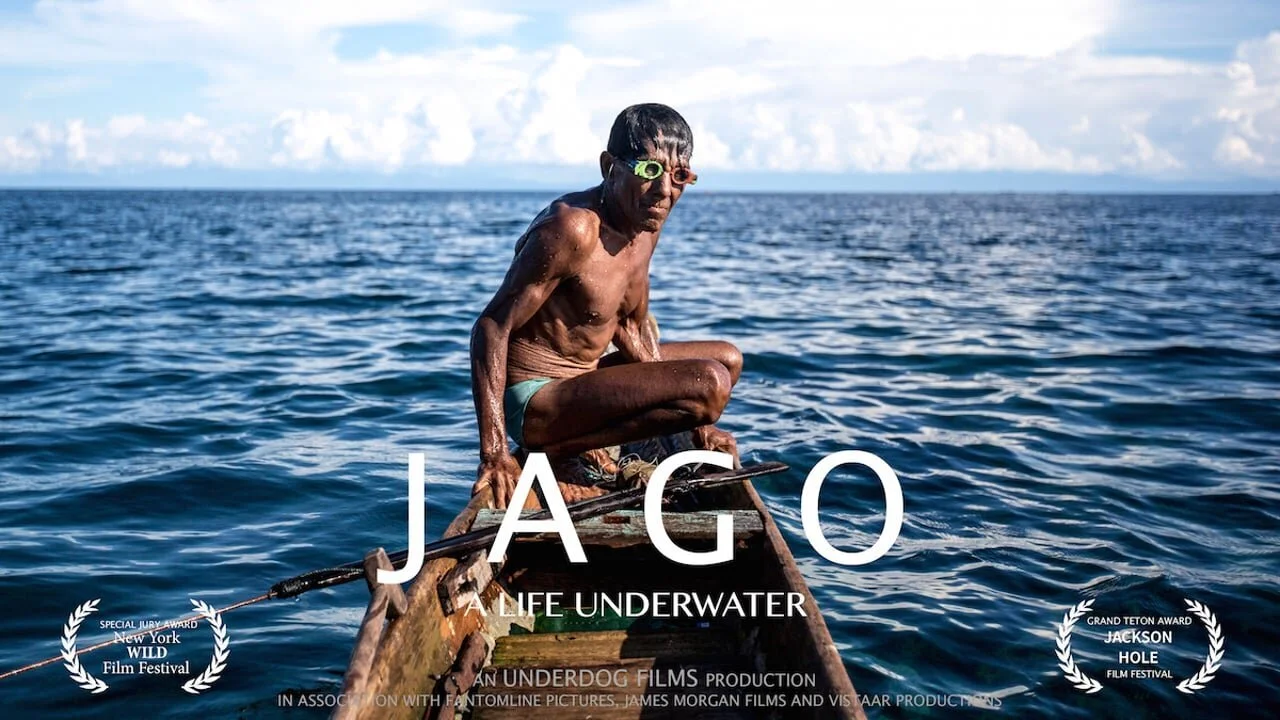 News | James Morgan - Film Director & Photographer