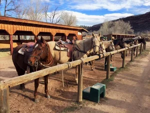 Loveland, CO Horseback Ranch | Quiet Retreat | Retreat Venue