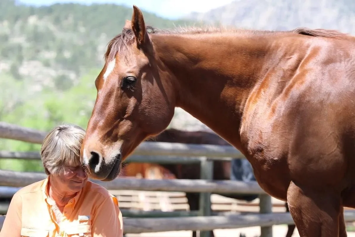 Specials - Deals And Holidays At Sylvan Dale Guest Ranch