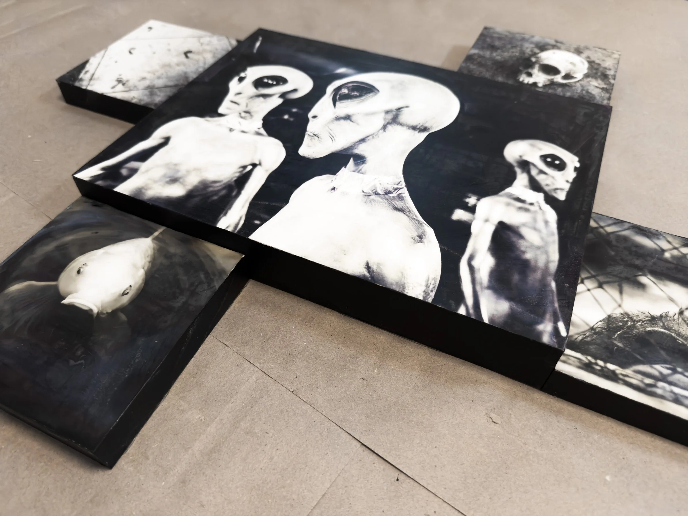 Jason Houston Photography