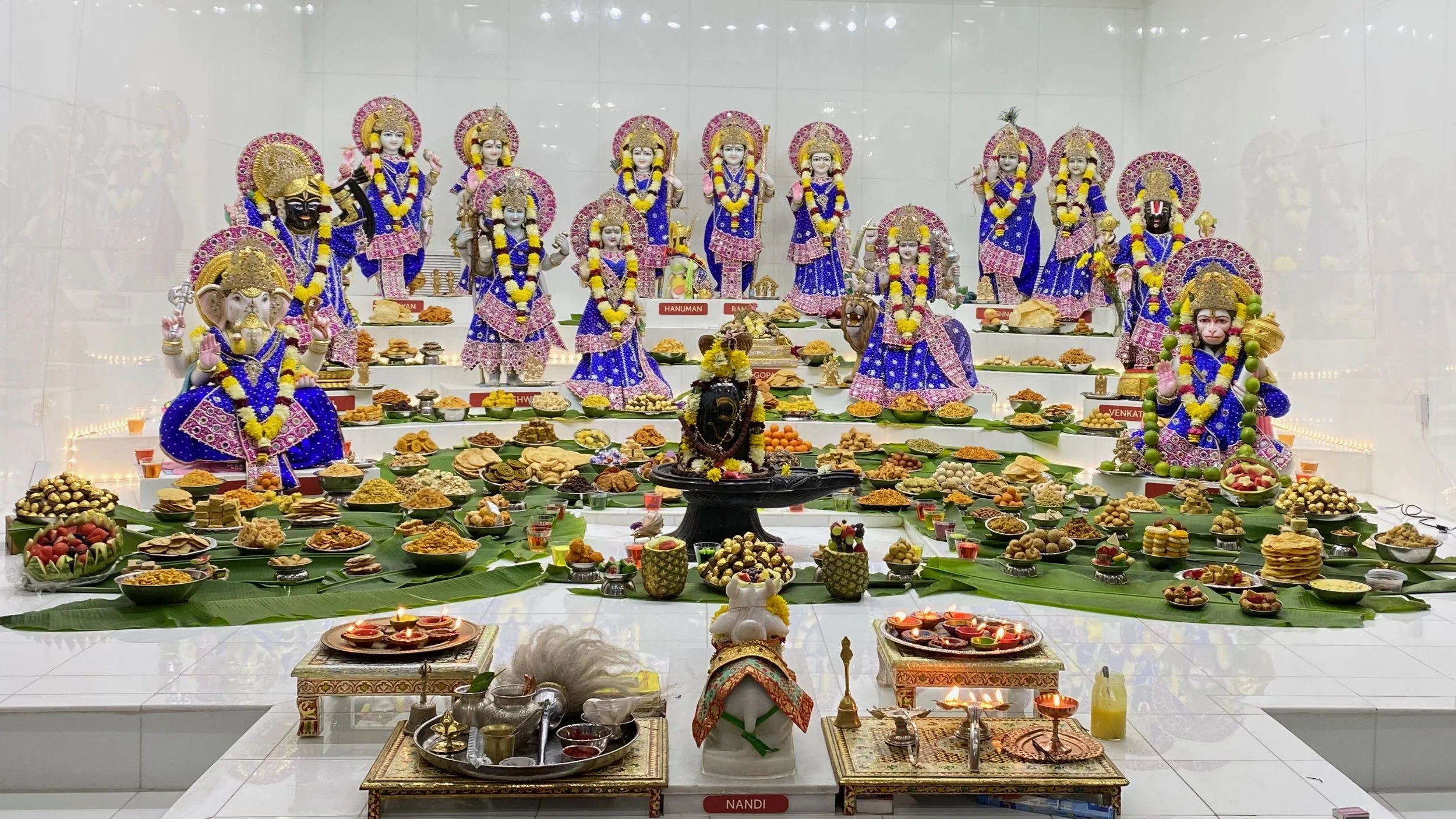 Murti Darshan — Sanatan Mandir Atlanta