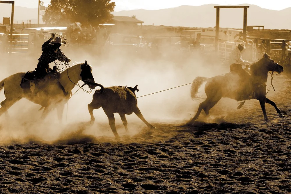 Hot Heels Patents Steer Roping Practice Apparatus — Woods Fuller