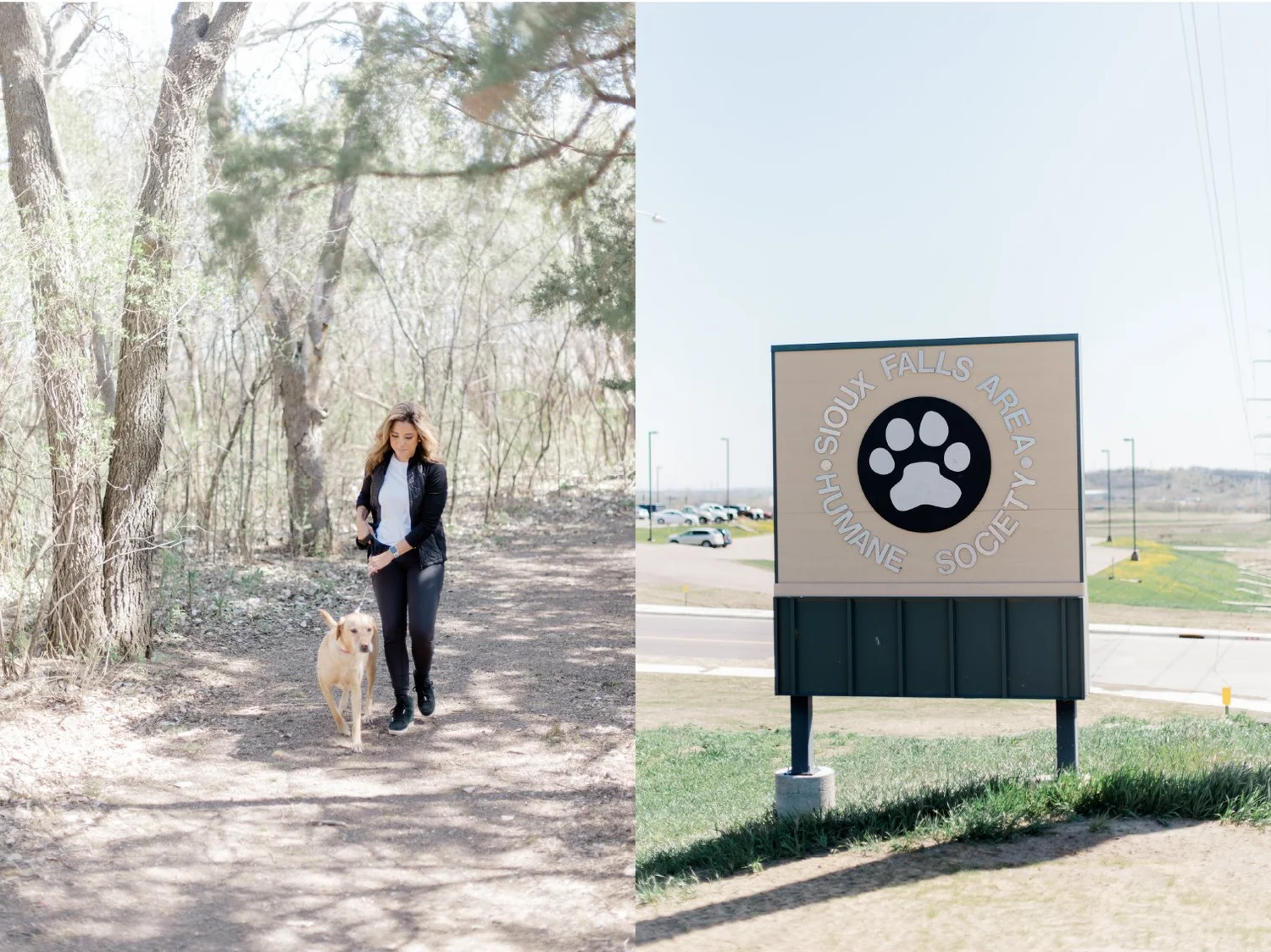 Jennifer L. Wosje: Work Compensation & Litigation Expert — Woods Fuller