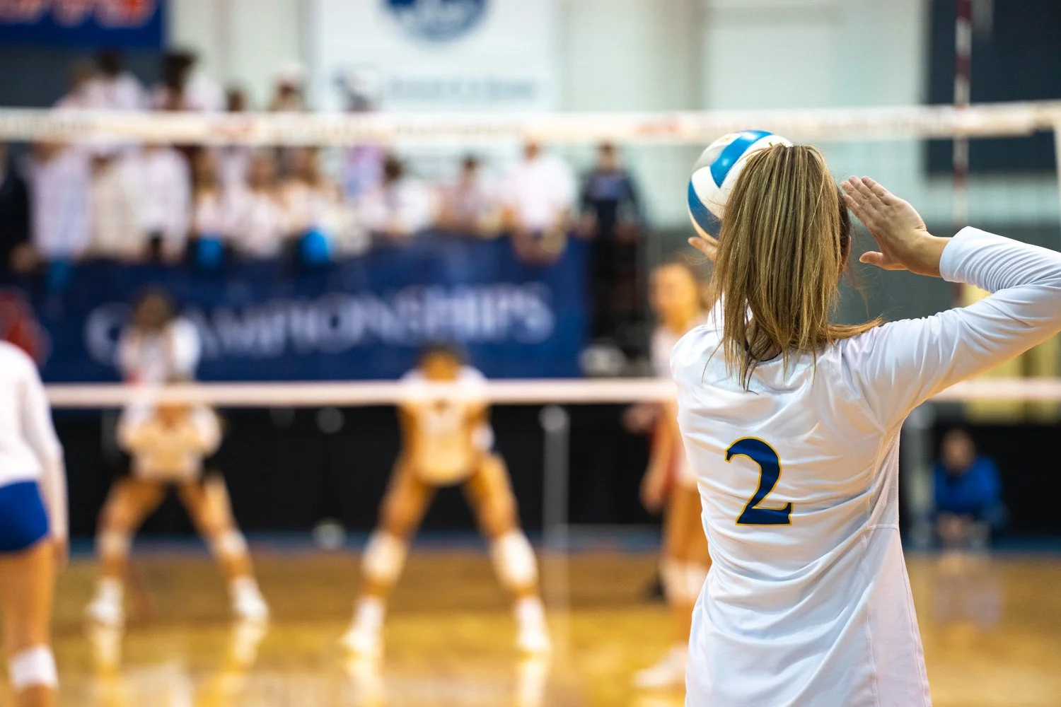 NeuroFuel High Performance Mental Training