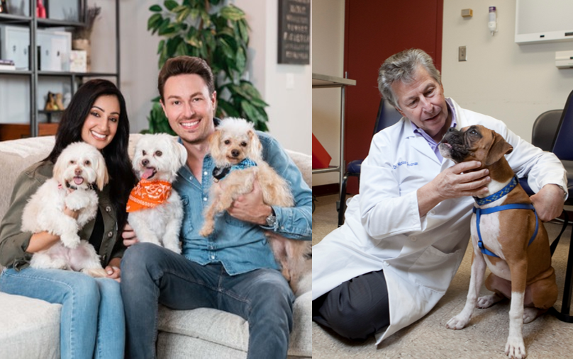 Four Legged Life — ArdenMoore.com