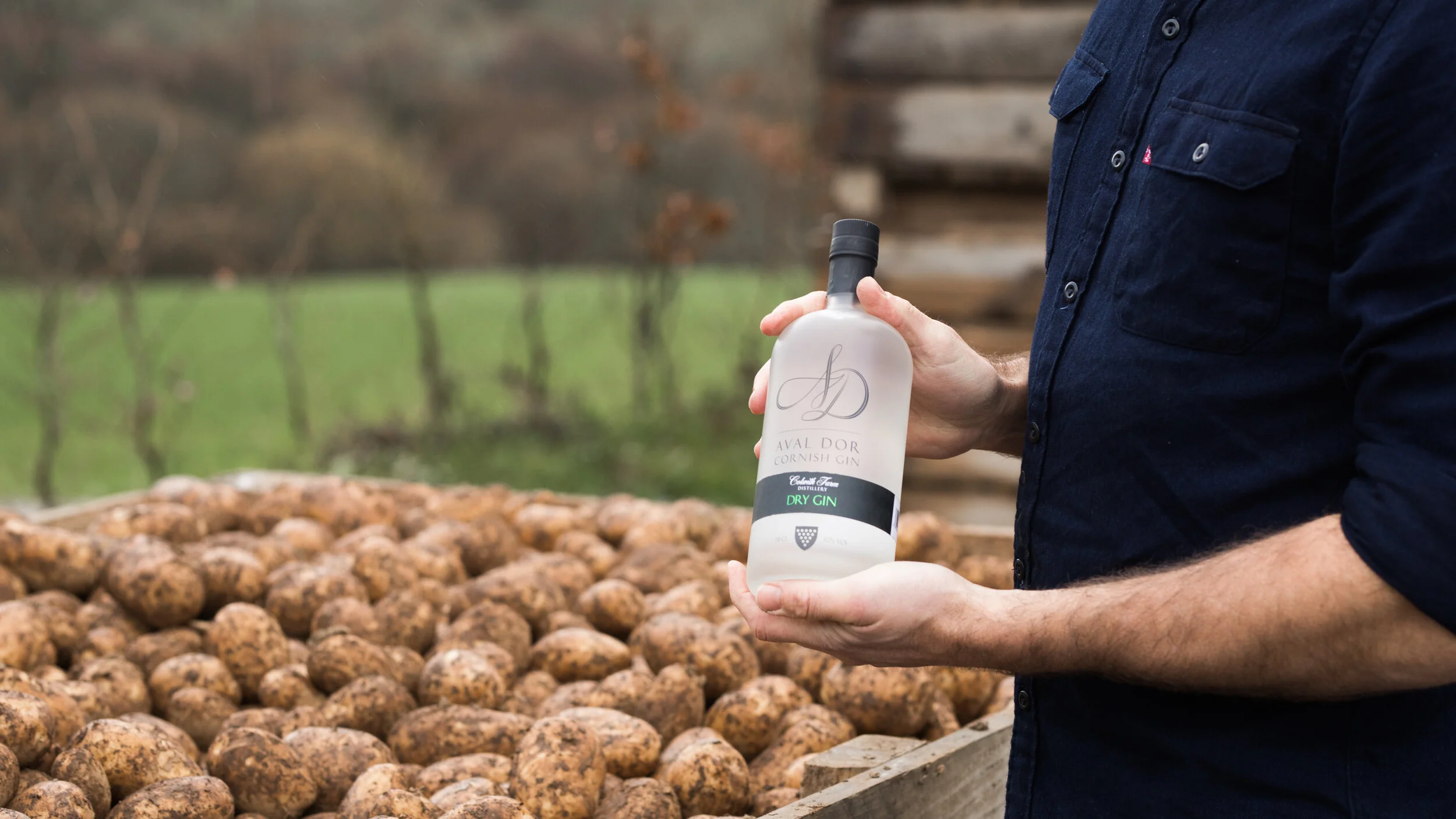 Our Cornish Gin Collection — Colwith Farm Distillery