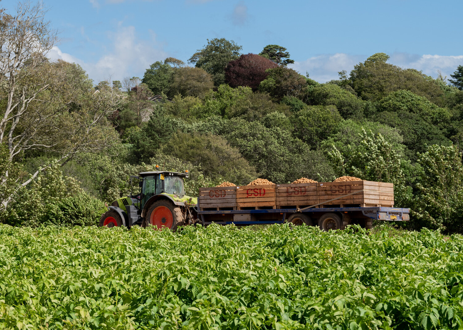 Sustainability — Colwith Farm Distillery