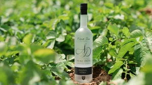 Aval Dor Cornish Vodka | Taste Cornish Quality — Colwith Farm Distillery