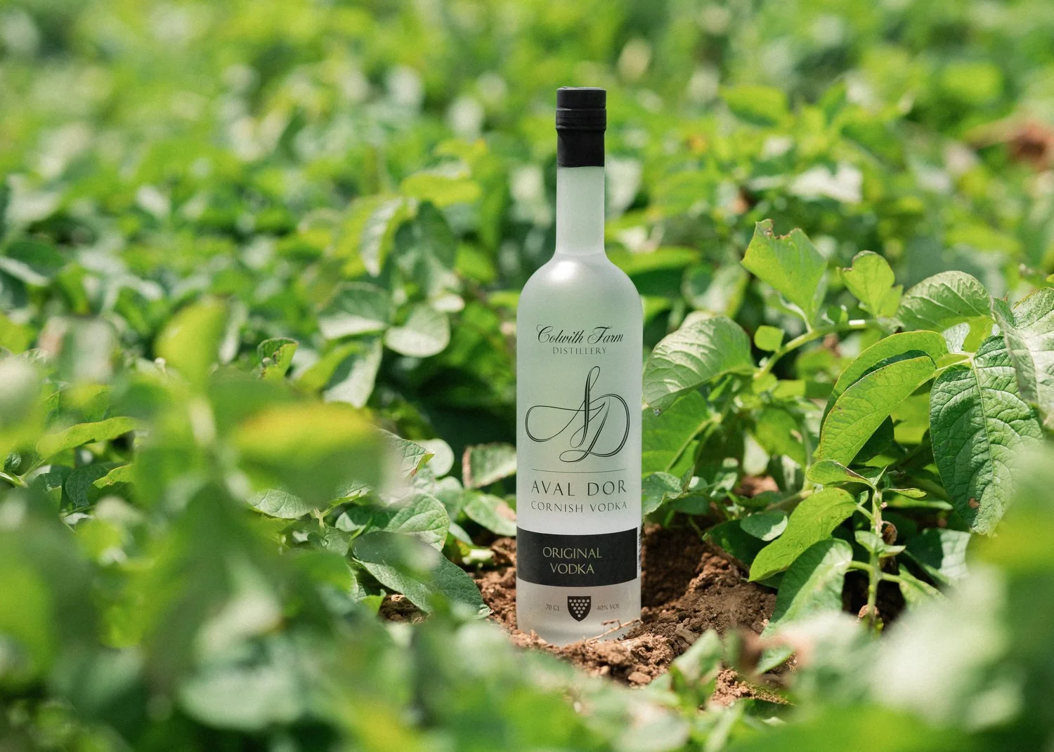 Aval Dor Cornish Vodka — Colwith Farm Distillery