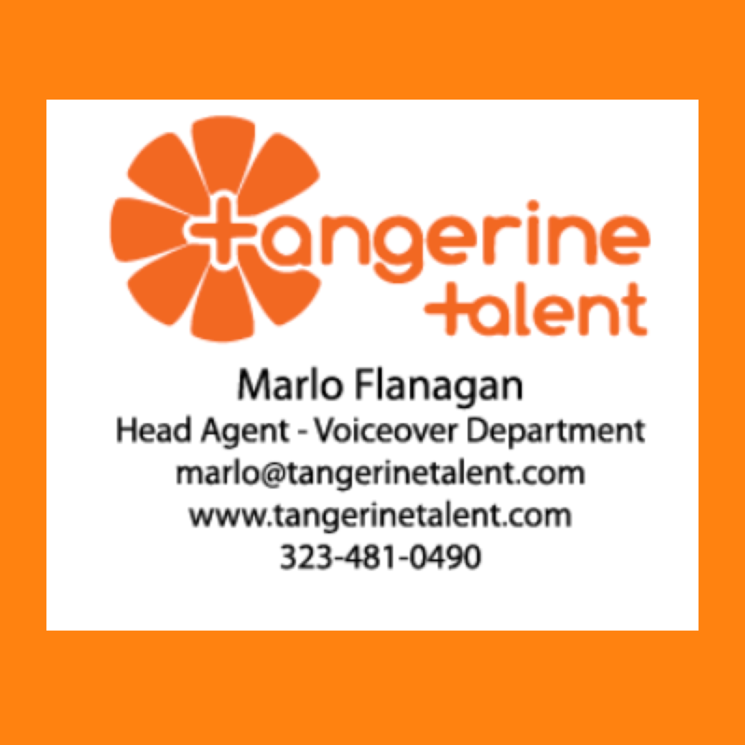 Sandra Manwiller, Voice Actor