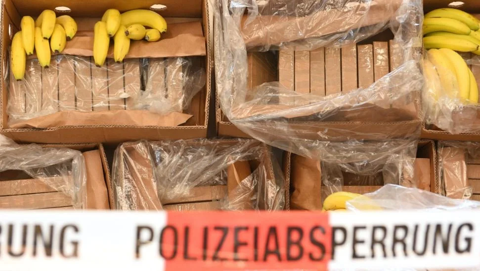 Corruption and drug trafficking in European ports