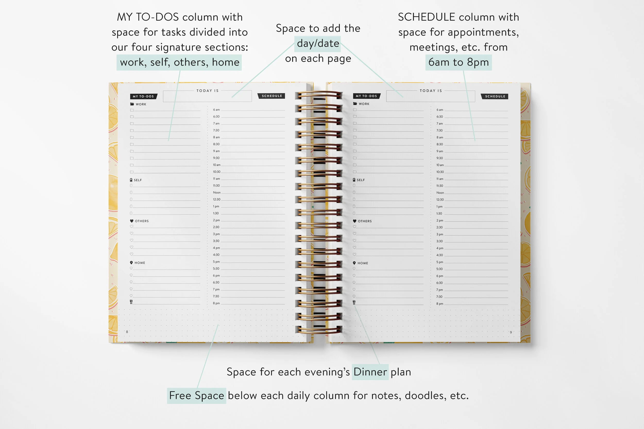 Planner Features — Balance Bound