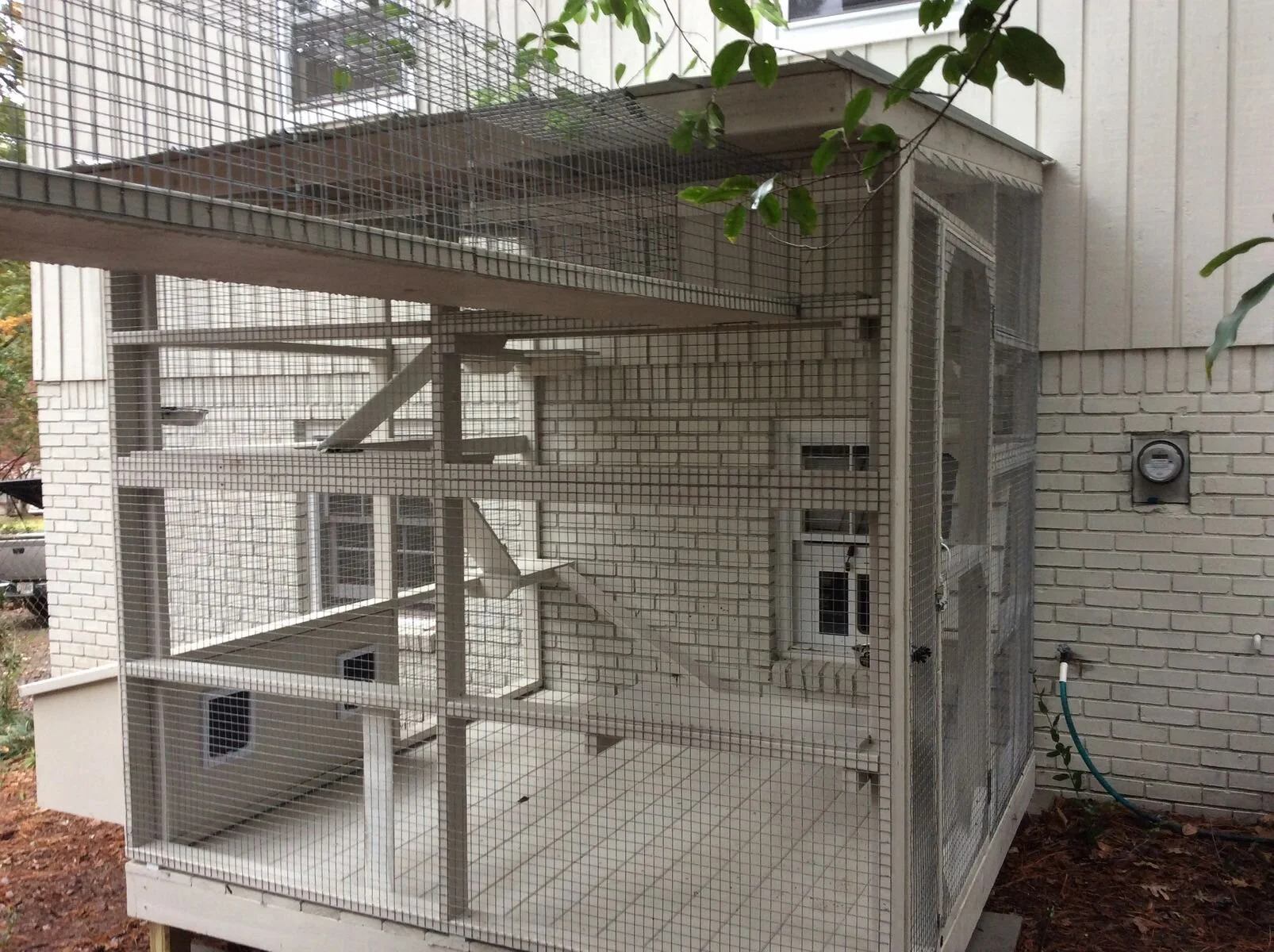 Catio Bob The Catio Builder