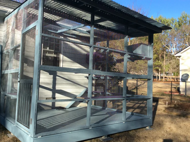 Get Inspired — Catio Bob The Catio Builder