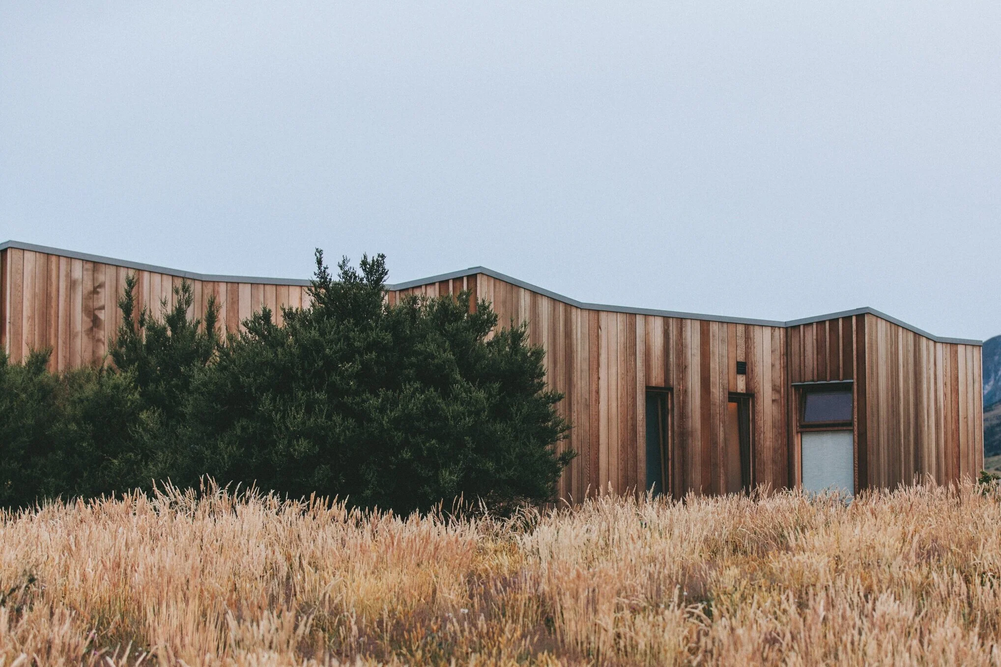 The Team — Treacle Mine