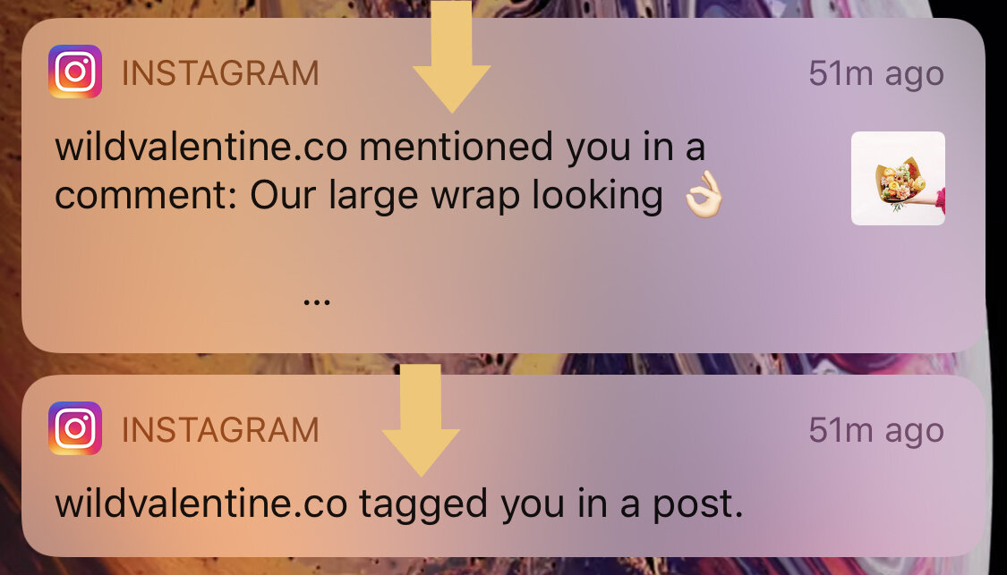 Can I Re-gram if I Give Credit? The Definitive Guide! — Alexis The ...