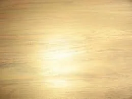 12 Dimensions — Dr. Cynthia Miller