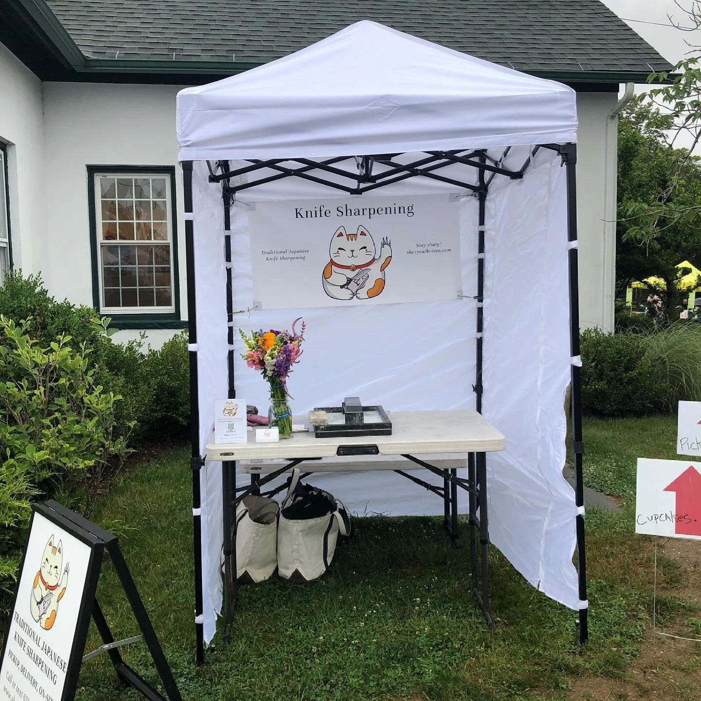 Sharp Cat Knife Sharpening