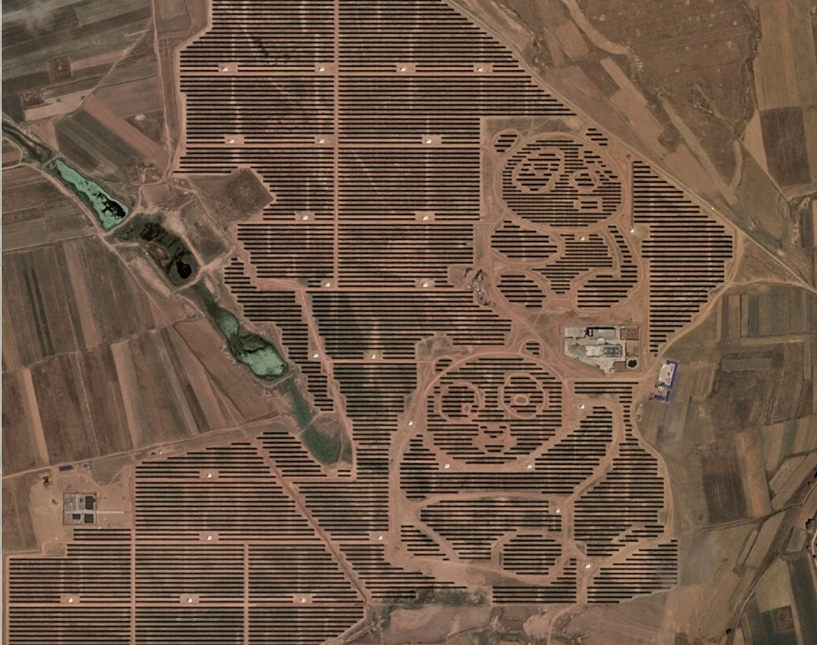 Making solar energy accessible — and adorable — Assembly | Malala Fund