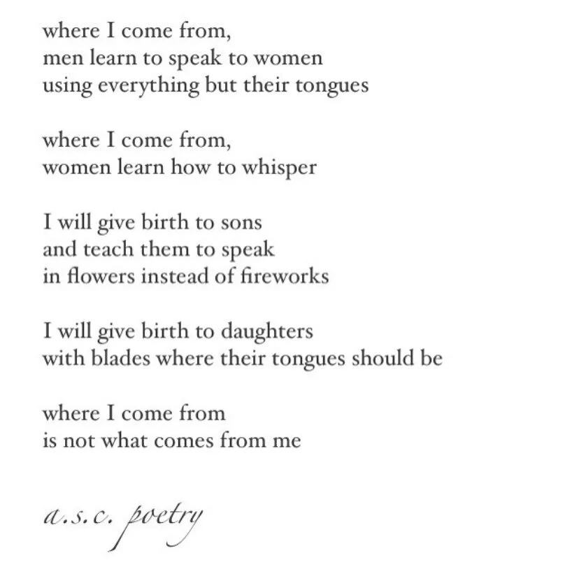 Pakistani American writer Amara Chaudhry speaks poetry to power ...