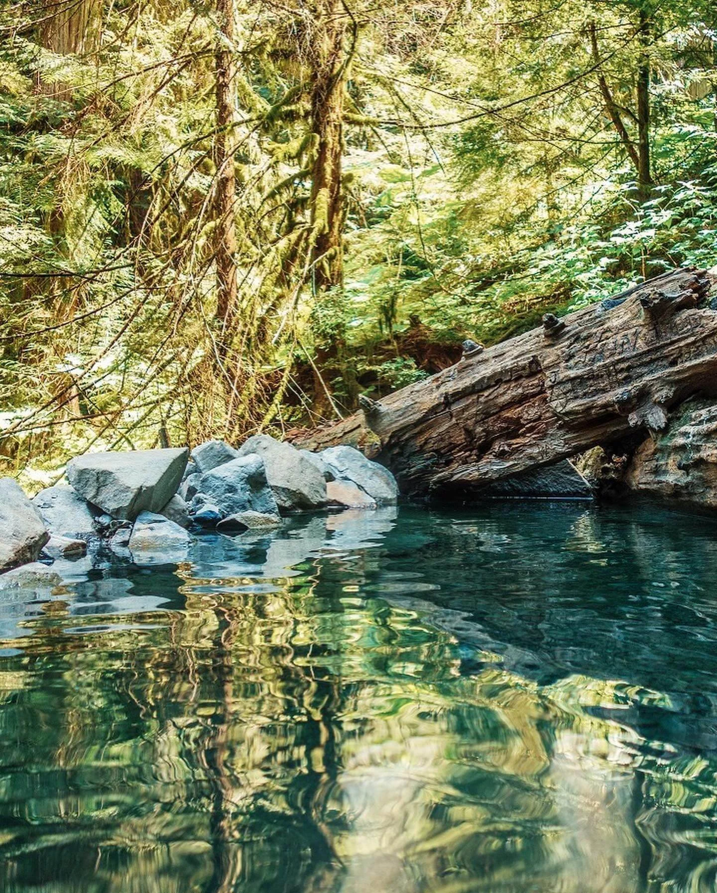 Best 8 Hot Springs in Washington State, Mapped — Finding Hot Springs